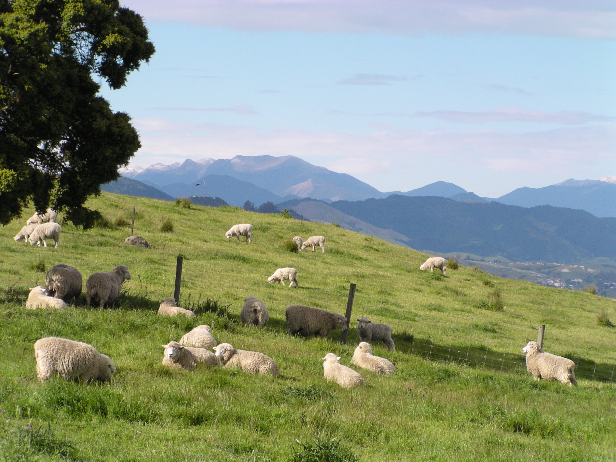 Pastoral Care Workshops | One Path